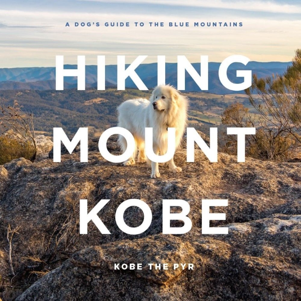 Hiking mount Kobe: A Dog's Guide to the Blue Mountains